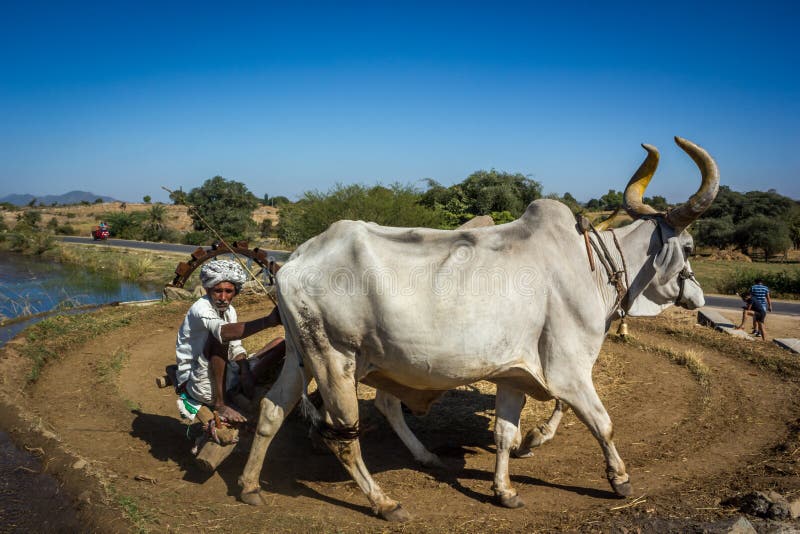Ancient Agricultural Technique Editorial Image - Image of manual ...