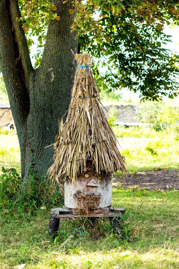 Ancient Beehive in a Garden Under a Tree on an Apiary_ Stock Image ...
