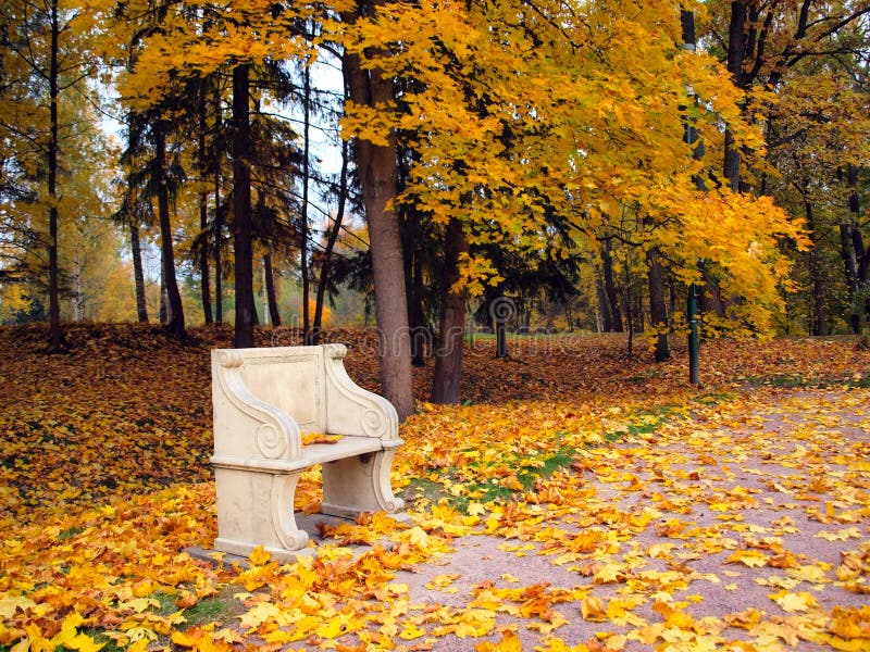 Autumn in the Park stock image. Image of bench, tree - 91559827