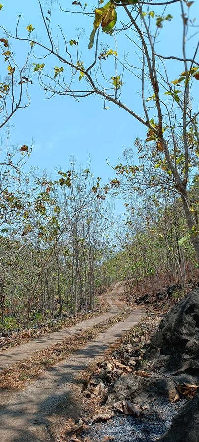Ancient Bengawan Solo River Quite Valley Stock Photo - Image of valley ...