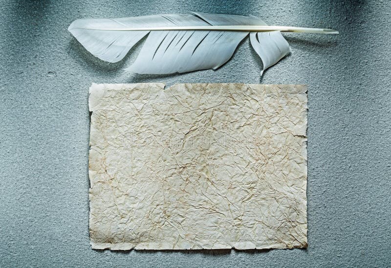 Ancient Blank Crumpled Paper Sheet Feather on Grey Surface Stock Photo ...
