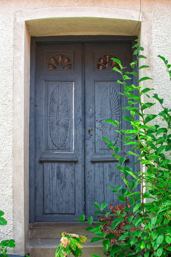 Ancient Blue Door with Green Bush Stock Photo - Image of green, street ...