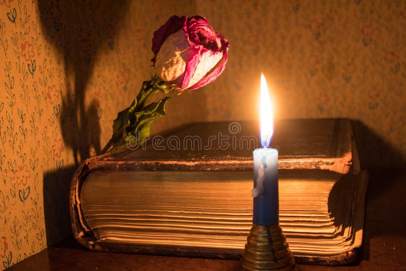 An Ancient Book by Candle Light and a Flower Casting a Shadow Stock ...