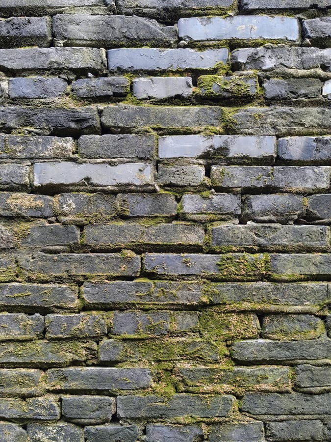 Old Brick Wall with Moss. Texture of Old Brick Wall with Green Moss ...