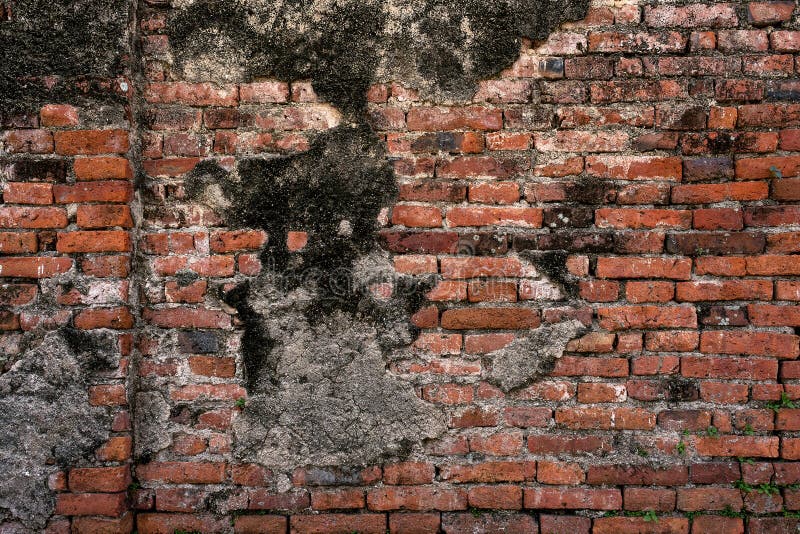 Ancient Bricks Wall Surface with the Water Stains Stock Photo - Image of background, aged: 308808444