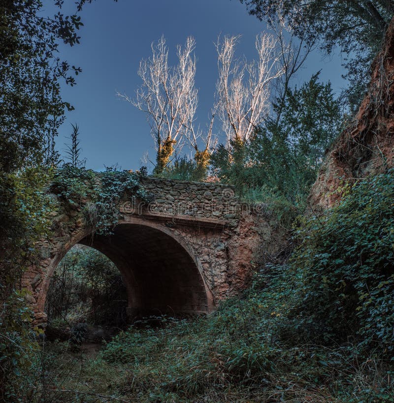 Ancient Bridge with Illuminated Poplar Trees Stock Photo - Image of ...