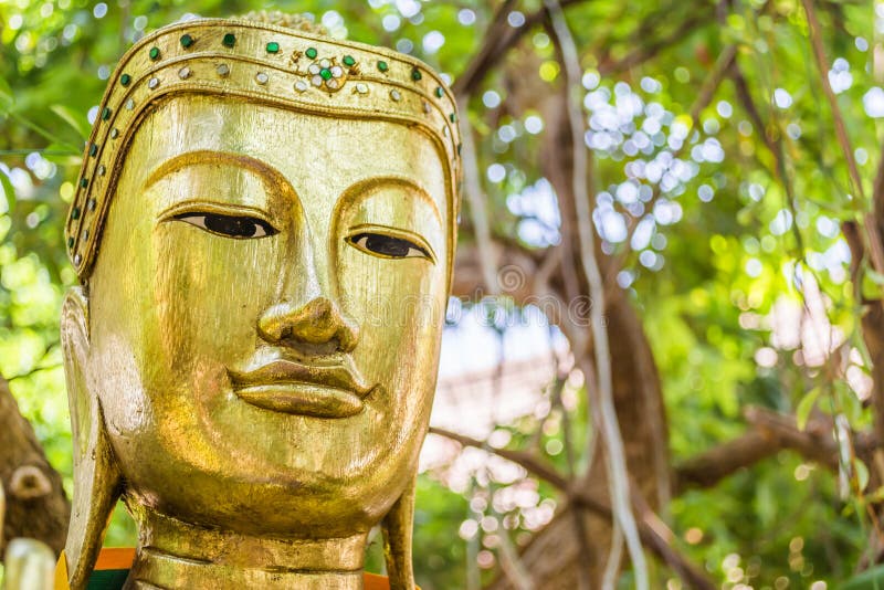 Ancient Buddha Sculpture Under the Big Green Tree Stock Image - Image ...