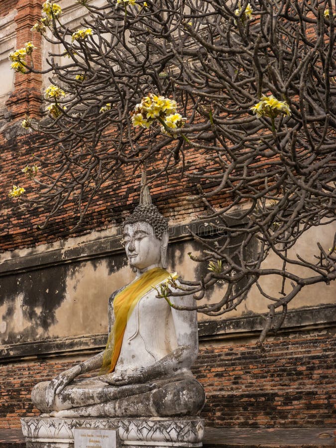 Ancient Buddha statue stock photo. Image of respect, heritage - 50327462