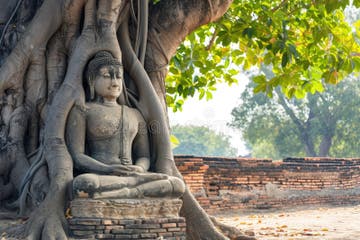 Buddha Statue Under Tree Stock Illustrations – 146 Buddha Statue Under ...