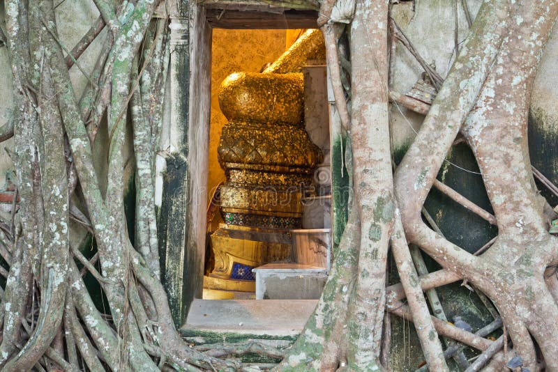 Buddhist Church Surrounded by Tree Root Stock Photo - Image of famous ...
