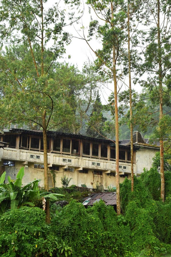 Ancient Building Surrounded by Lush Forest and a Serene River Stock ...