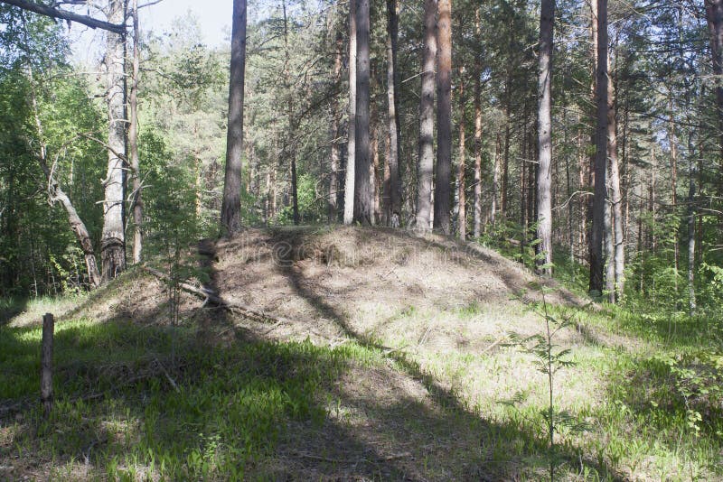 259 Burial Mound Forest Stock Photos - Free & Royalty-Free Stock Photos ...