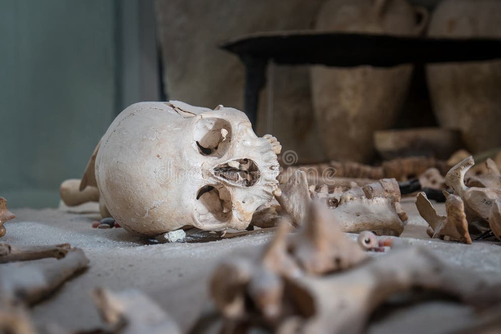 Ancient Burial Site Showing Skull Stock Image - Image of anatomy, human ...