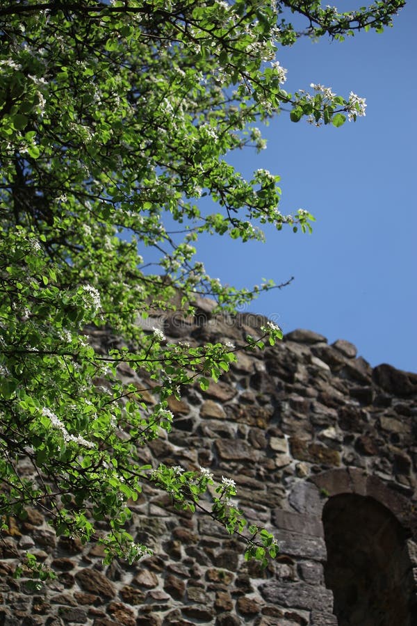 Ancient Castle Turning To Rubble Stock Photo - Image of fort, construct ...