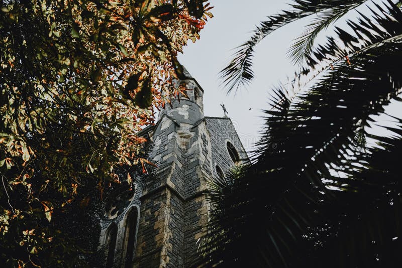 An Ancient Catholic Church in Dark Colors from Under a Palm Tree ...