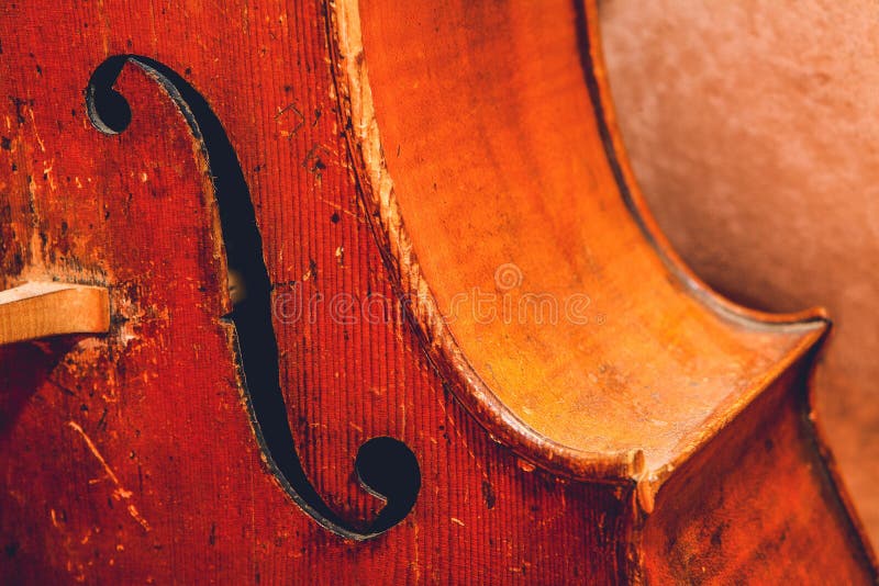 Vladimir Myshkin (Vladimirmyshkin) - Photographer profile