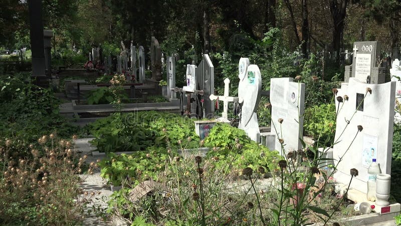 Ancient Cemetery in Varna. Bulgaria. 4K. Stock Footage - Video of ...