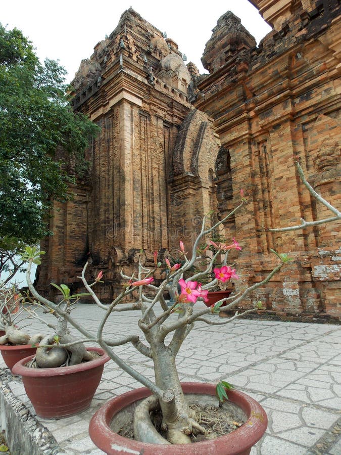 Ancient Cham Temple, Vietnam Stock Image - Image of tower, vietnam ...