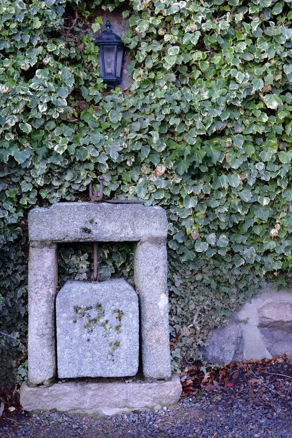 686 Cheese Press Photos - Free & Royalty-Free Stock Photos from Dreamstime