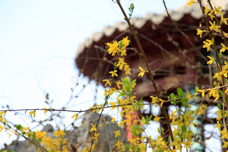 Ancient Chinese Architecture Stock Image - Image of background, travel ...