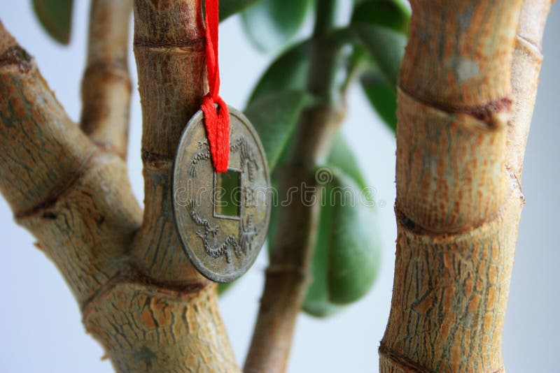 Ancient Chinese Coin on the Money Tree Stock Photo - Image of horizon ...