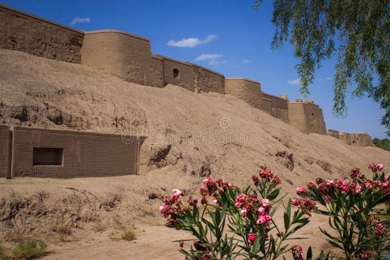 The Ancient City of Bam in the South of Iran and Flowers Editorial ...