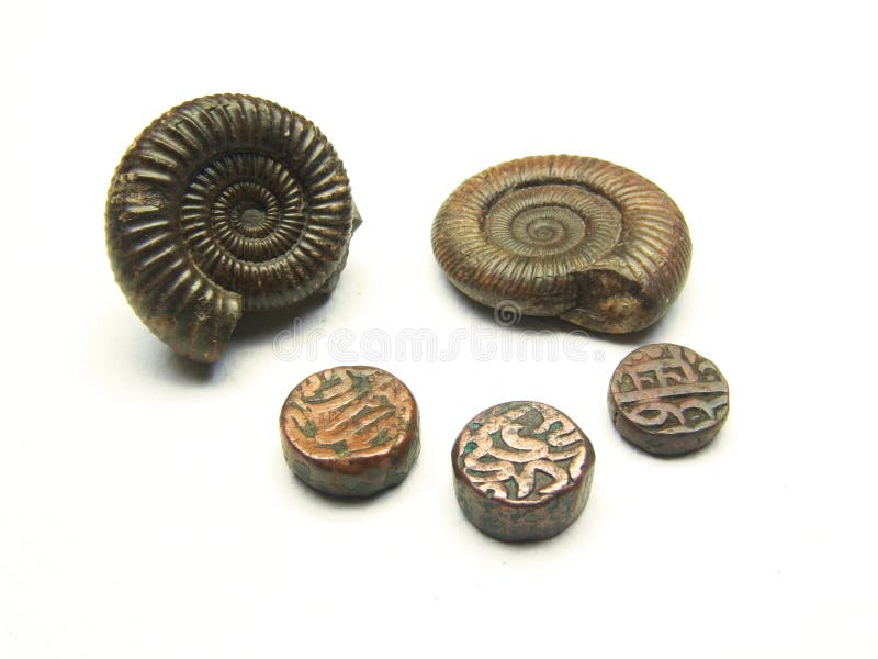 Ancient Coin and fossil stock image. Image of historic - 28331781