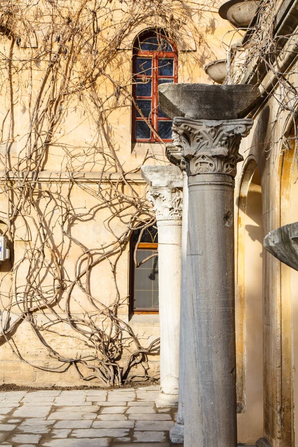 Ancient Columns Against the Wall Overgrown with Vines Stock Image ...