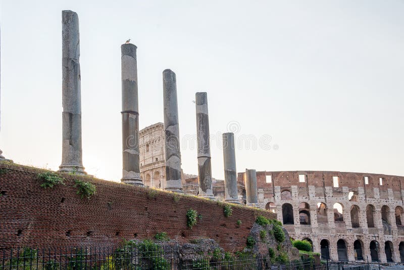 Ancient Columns by Colosseum in Rome Italy Stock Image - Image of ...