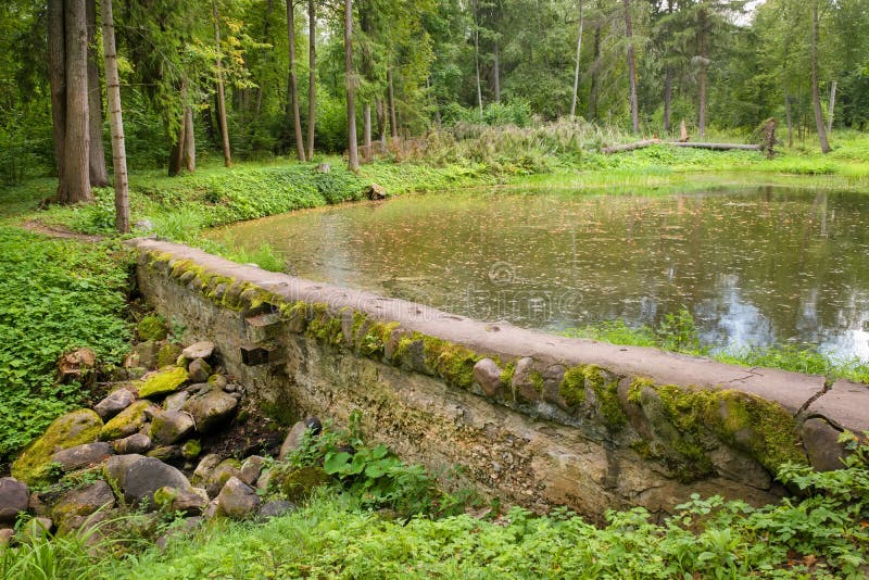Dam in the forest. stock photo. Image of river, creek - 30180844