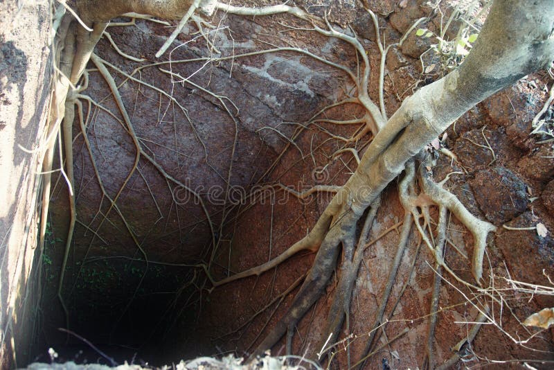 Ancient deep well stock photo. Image of root, hole, ancient - 16767408