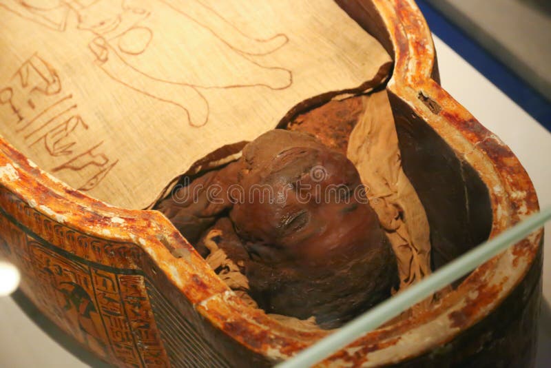 Ancient Egyptian Mummy editorial photography. Image of interior - 102946572