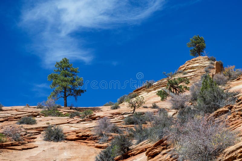Ancient Escarpment in Zion stock image. Image of mountains - 81800495