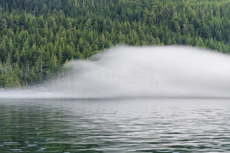 Ancient Forest Mist Landscape, Inside Passage Cruise, Canada Stock ...