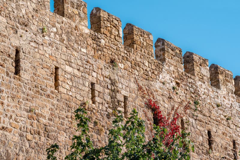 Ancient Fortress Wall, Twined with Bindweed Stock Photo - Image of wall ...