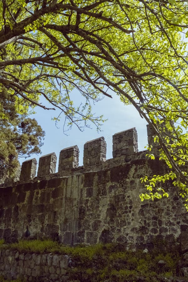 Stone Wall of an Ancient Fortress and a Tree. Stock Photo - Image of ...