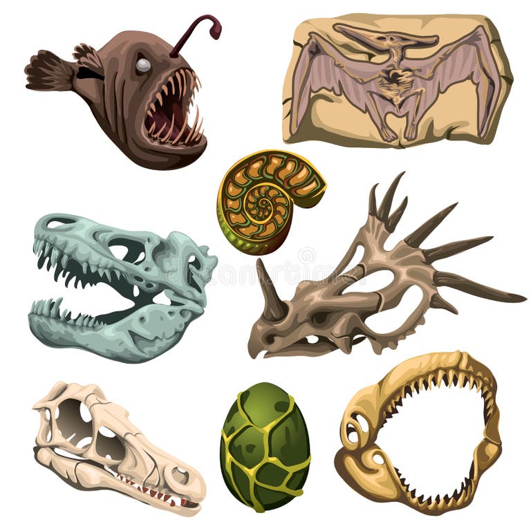 Fossil Fish Stock Illustrations – 1,446 Fossil Fish Stock Illustrations ...