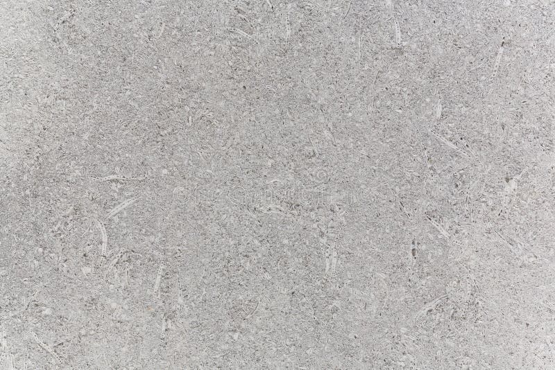 Ancient Fossils are the Sedimentary Rock of the Ancient Ocean, a Unique ...