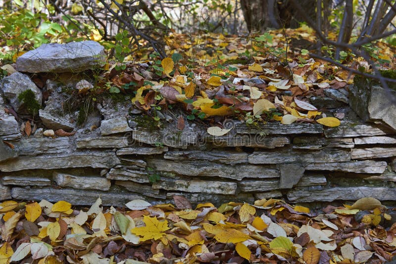 Ancient Foundations of an Ancient Building. Stock Image - Image of ...