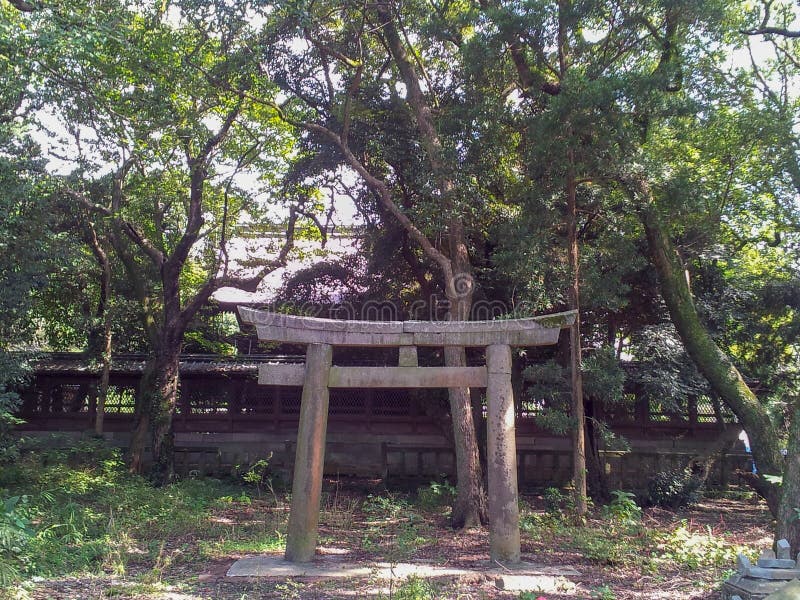 Old gate in nature stock photo. Image of contrasts, square - 119546792