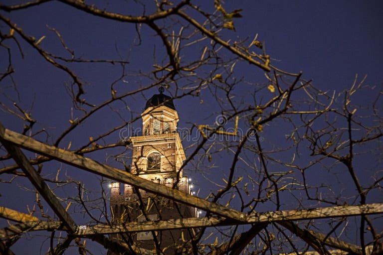 Ancient Gothic Castle Illuminated in the Evening through the Branches ...