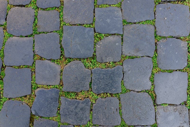 Grass Stone Floor Texture Pavement Design Stock Image - Image of garden ...