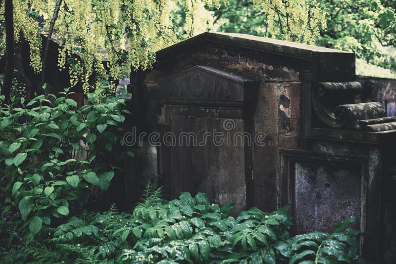 Ancient graves in England stock photo. Image of grave - 249365526