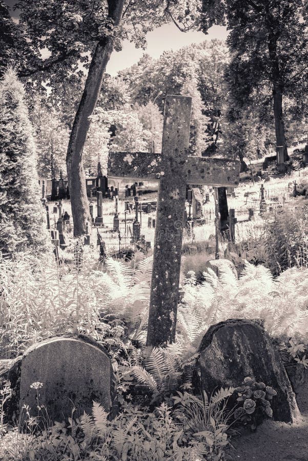 Ancient Graveyard by Summer Stock Photo - Image of monochrome, grave ...