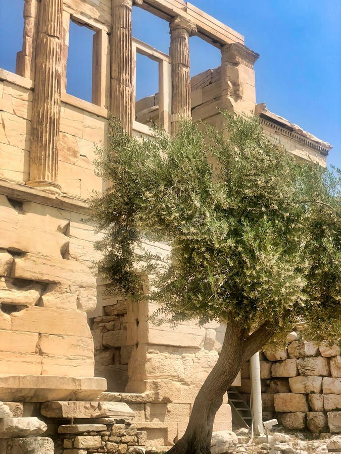Ancient Greece stock image. Image of town, culture, plant - 288281281