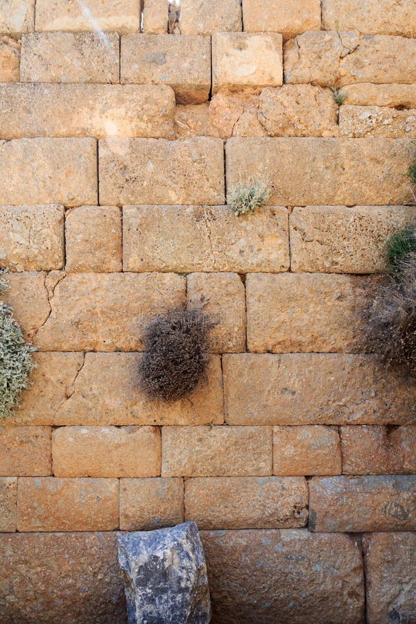 Ancient Greek Big Stone Bricks in Knidos with Bushes Stock Photo ...