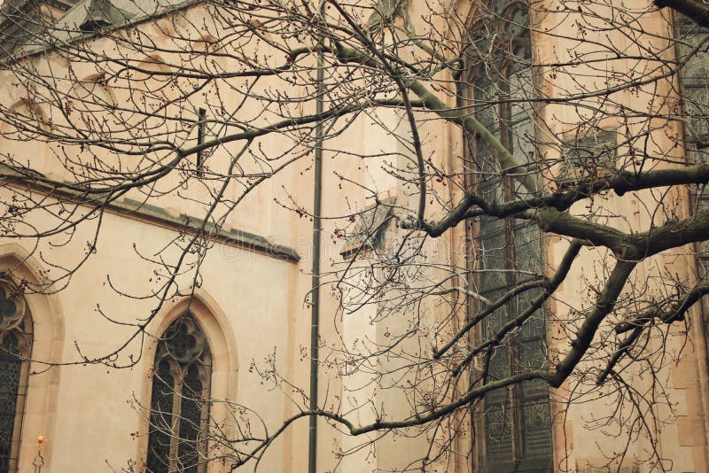 Ancient House and Bare Trees at Winter Stock Photo - Image of concept ...