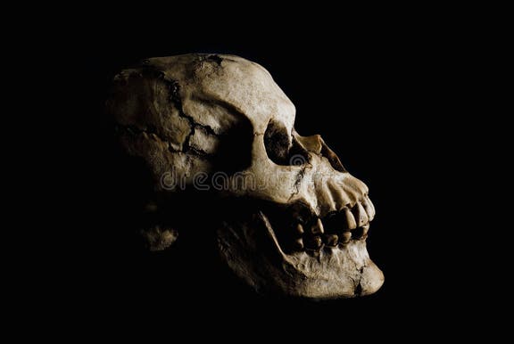 Ancient Human Skull in Shadow Stock Image - Image of halloween, scary ...