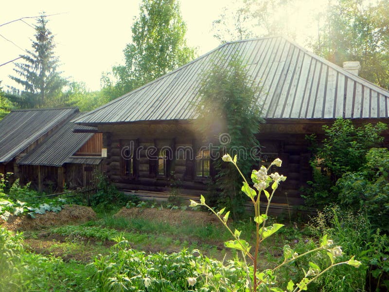 Ancient Hut in an Ethnographic Park Stock Image - Image of grass, trees ...