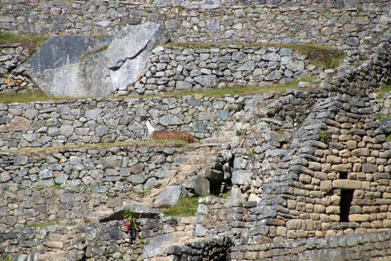 The Ancient Inca Ruins in Machu Picchu, Peru Stock Image - Image of ...